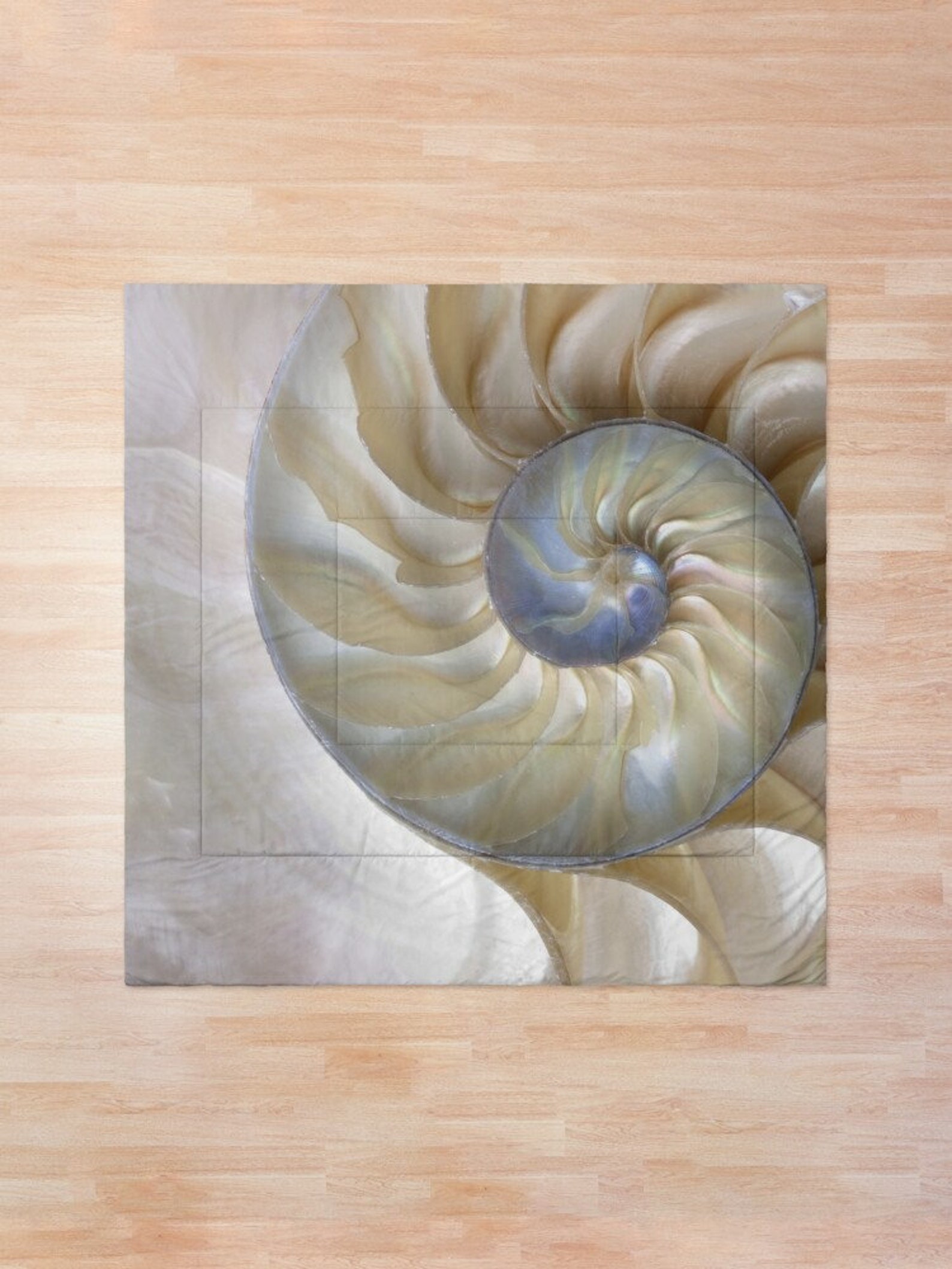 Nautilus Shell Comforter or Duvet Cover Ocean Bedding - Etsy