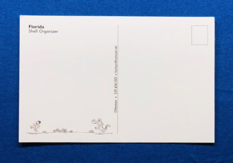 Shell Organizer Postcard - Etsy