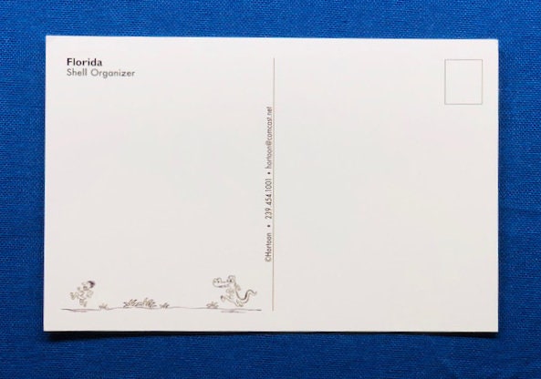 Shell Organizer Postcard - Etsy