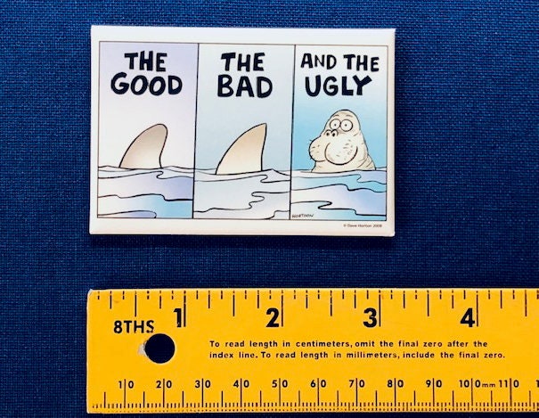 Good Bad and Ugly Magnet - Dolphin - Shark - Manatee - Florida - Funny ...