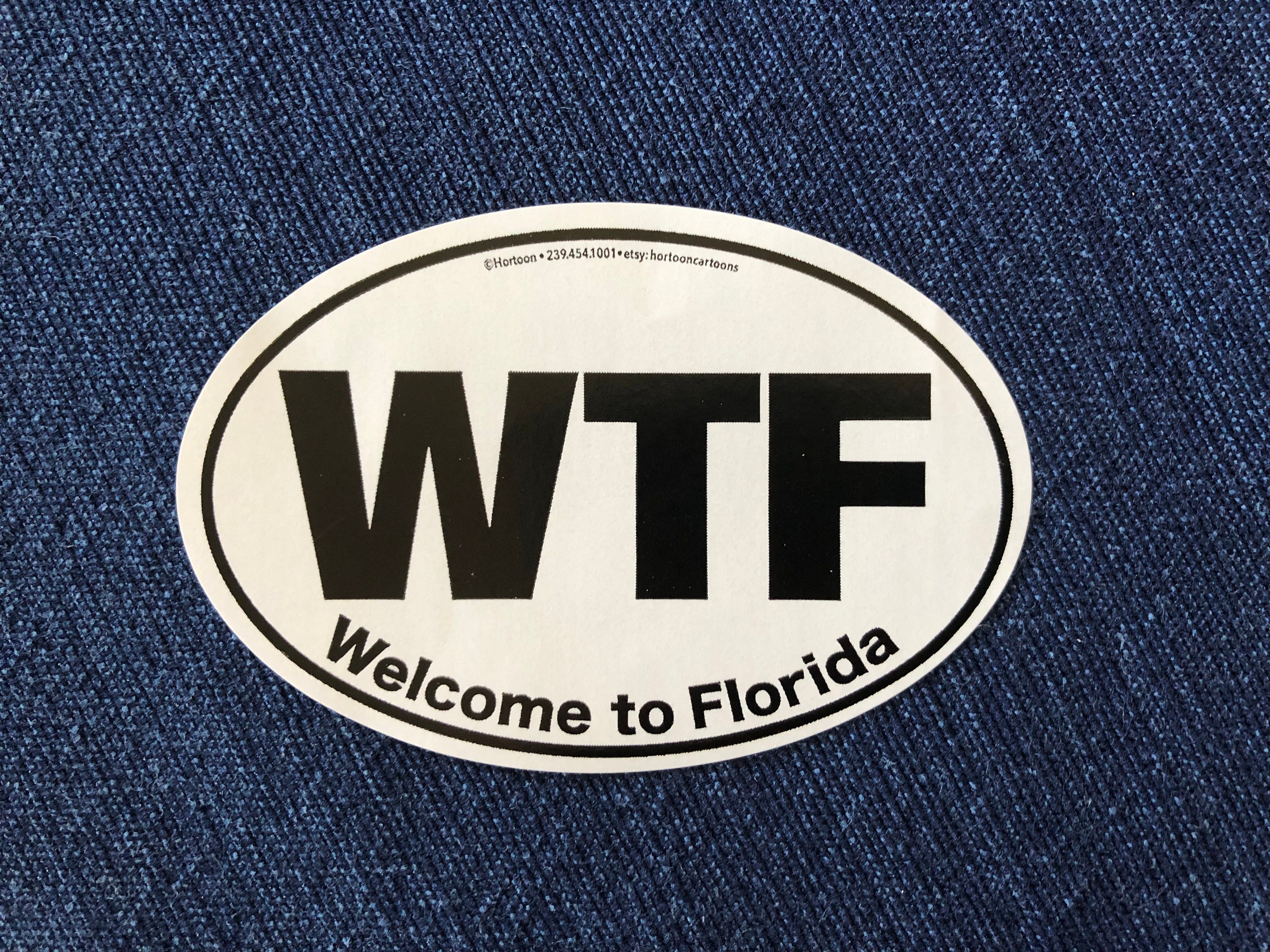 WTF- Welcome to Florida- Mini Sticker- Laptop- FL- Comic Art - Etsy