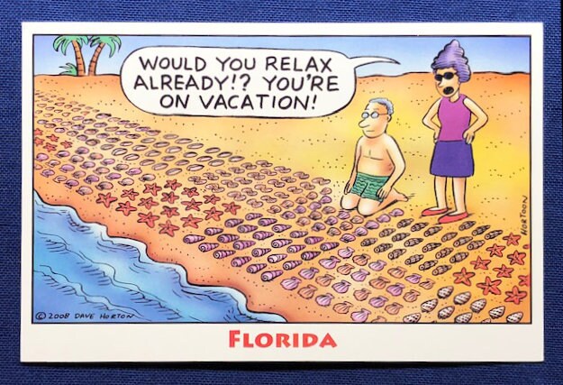 Shell Organizer Postcard - Etsy