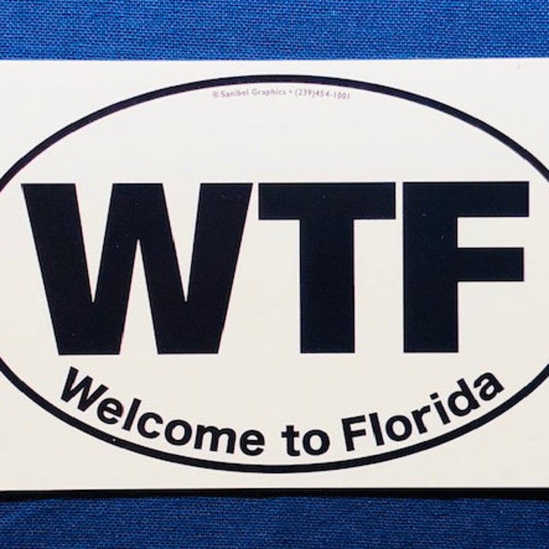 Florida Postcard - Etsy