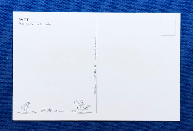WTF Welcome to Florida Postcard - Etsy