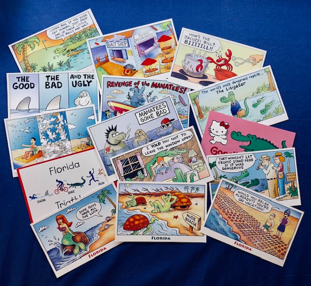 Florida Cartoon Postcard Collection - Etsy