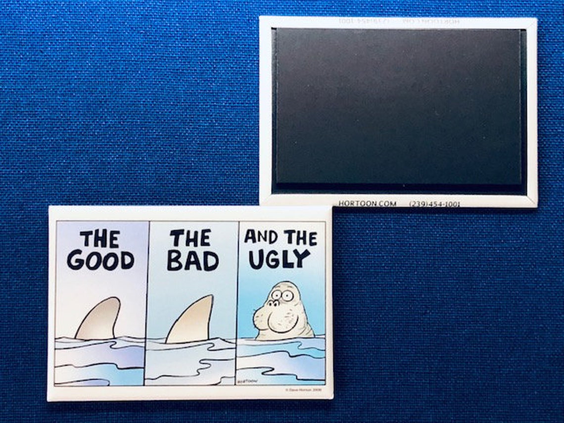 Good Bad and Ugly Magnet - Dolphin - Shark - Manatee - Florida - Funny ...