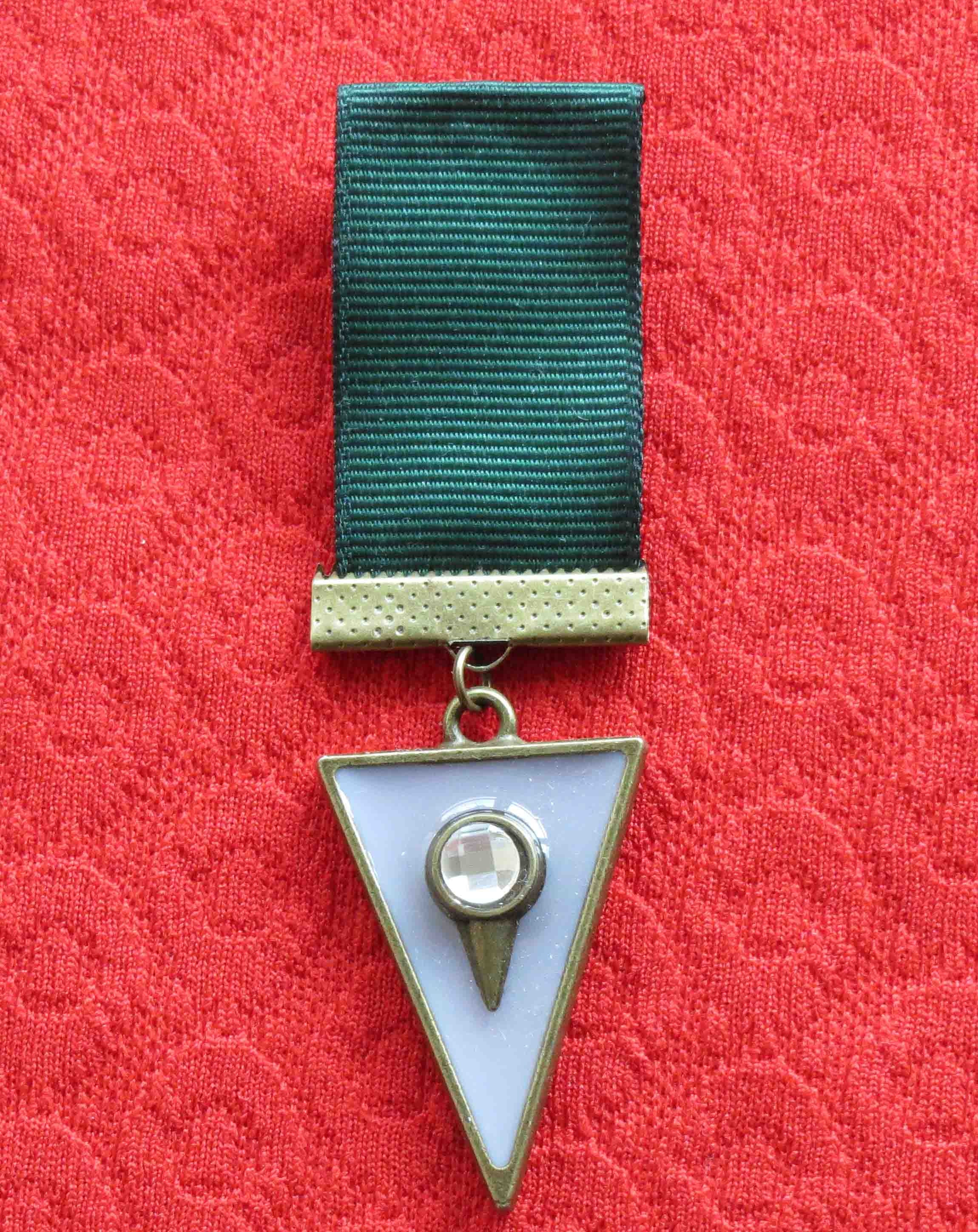 Epoxy Resin Metal and Ribbon Military-style Medal Pin, Punk Militia ...