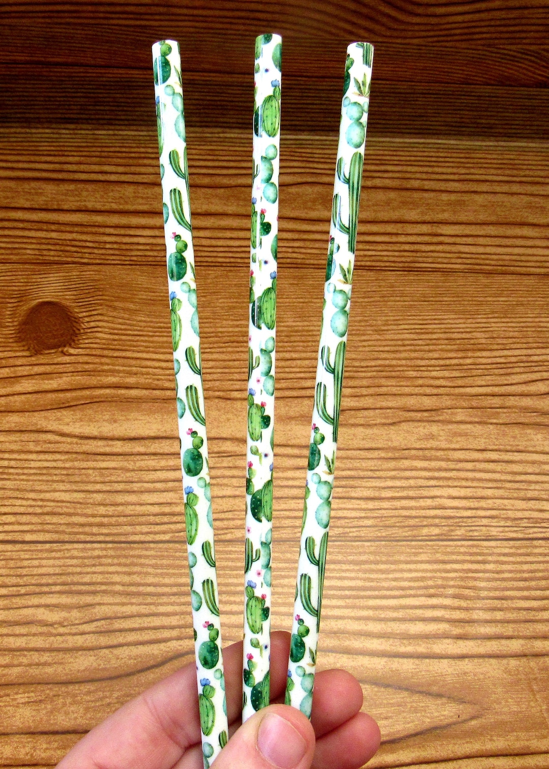 Cactus Straw|reusable Straw|tumbler Straw|western Straw|southwest Straw ...