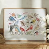 Native Birds of North America Watercolor Wall Art Print - Etsy