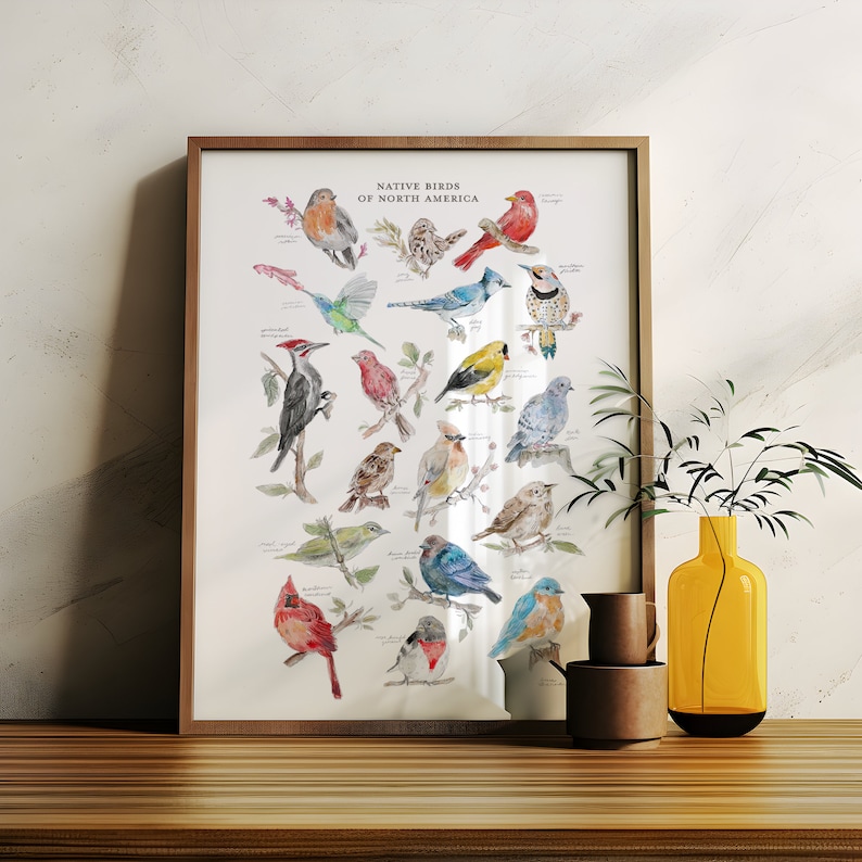 Native Birds of North America Watercolor Wall Art Print - Etsy