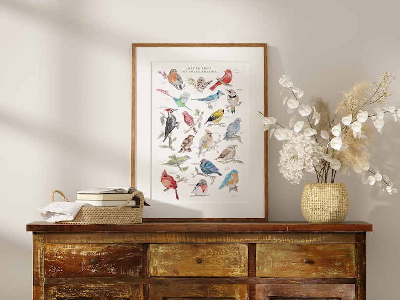 Native Birds of North America | Watercolor Wall Art Print - Etsy