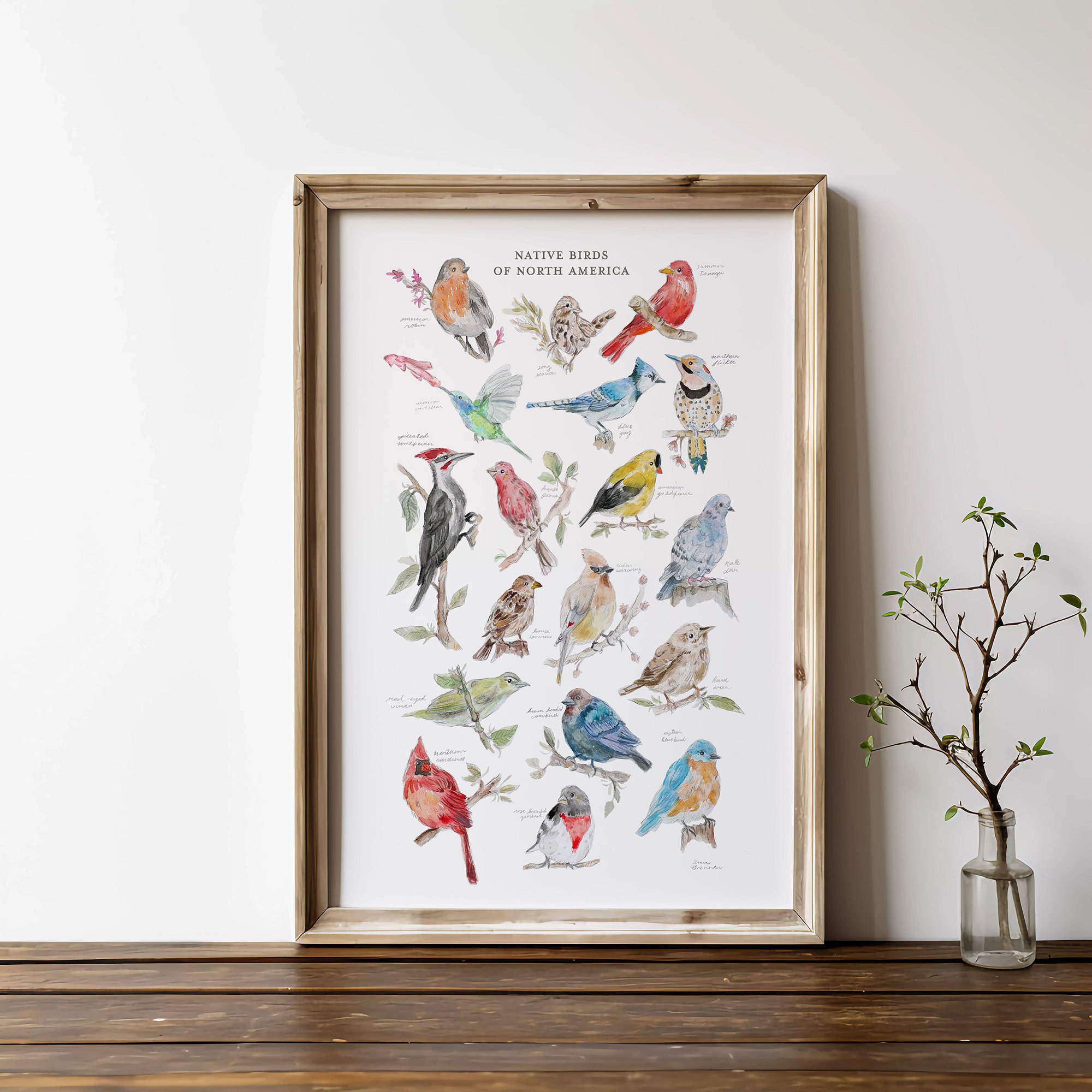 Native Birds of North America Watercolor Wall Art Print - Etsy