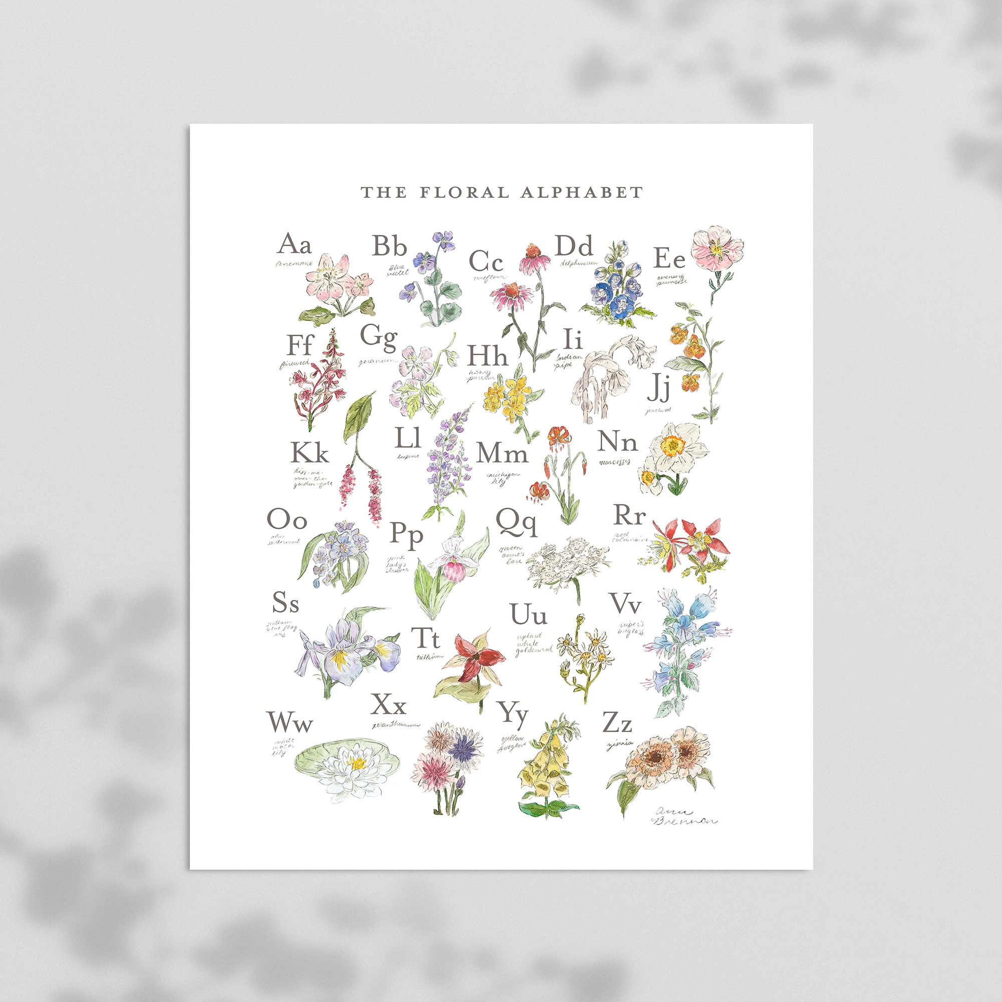 Floral Alphabet Print Flowers Floral Gardening Abc's Art Print - Etsy