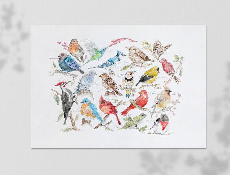 Birds of North America | Watercolor Wall Art Print - Etsy