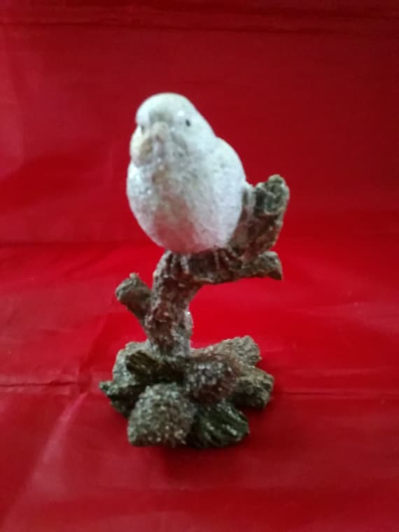 Snow White Turtle Dove