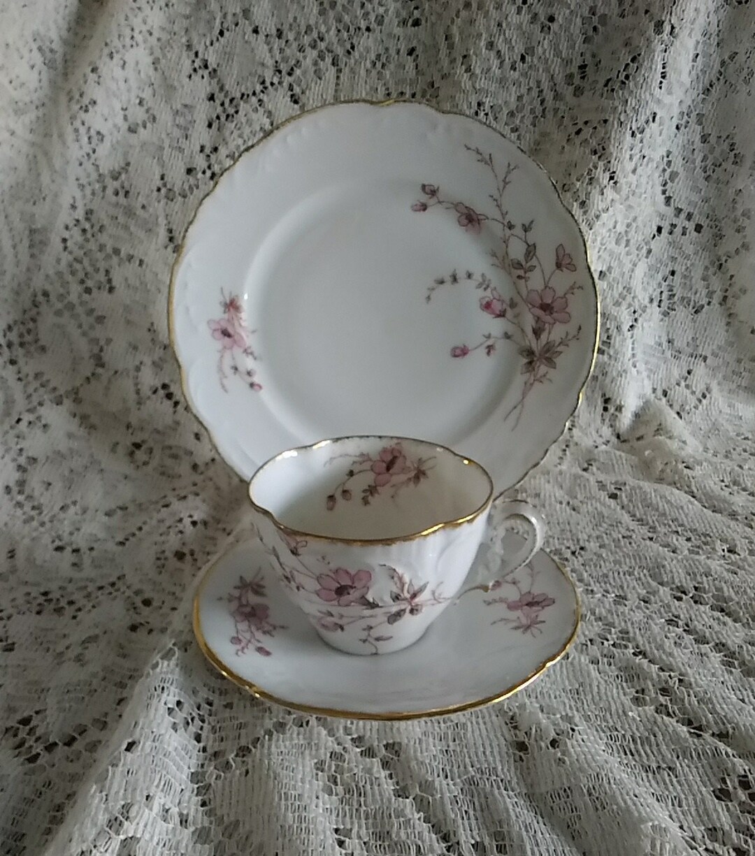 By Springer & Co Elbogen "mignon" Austria Dessert Set of a Demitasse ...