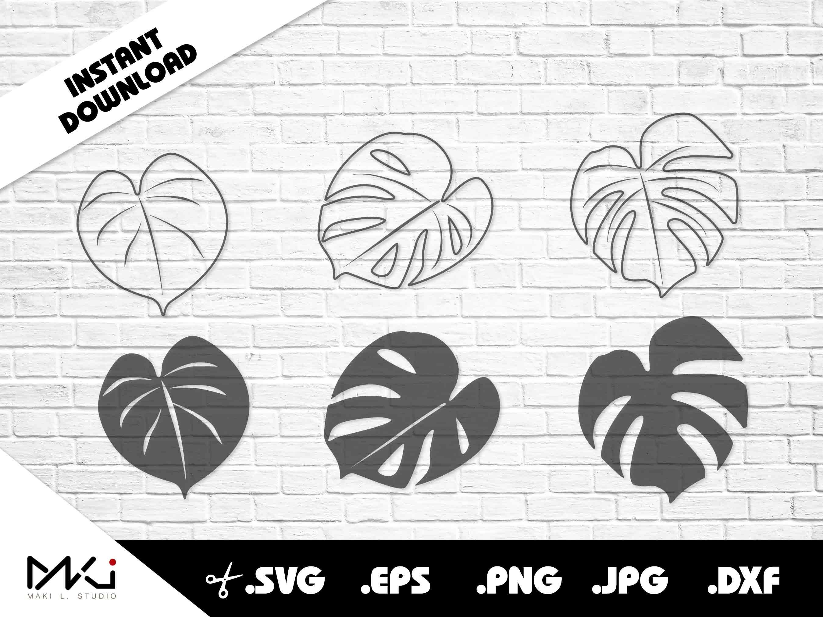 Monstera Leaves SVG Bundle Digital Files - Etsy