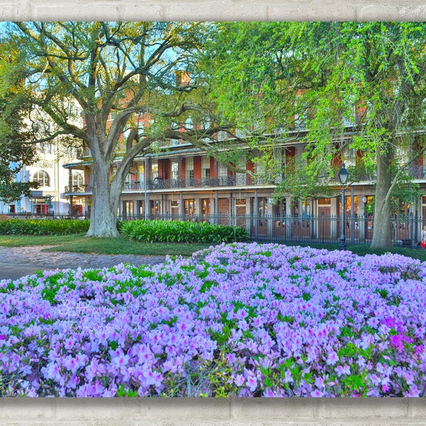 Nola Photography - Etsy