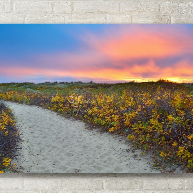Cape Cod Photography - Etsy