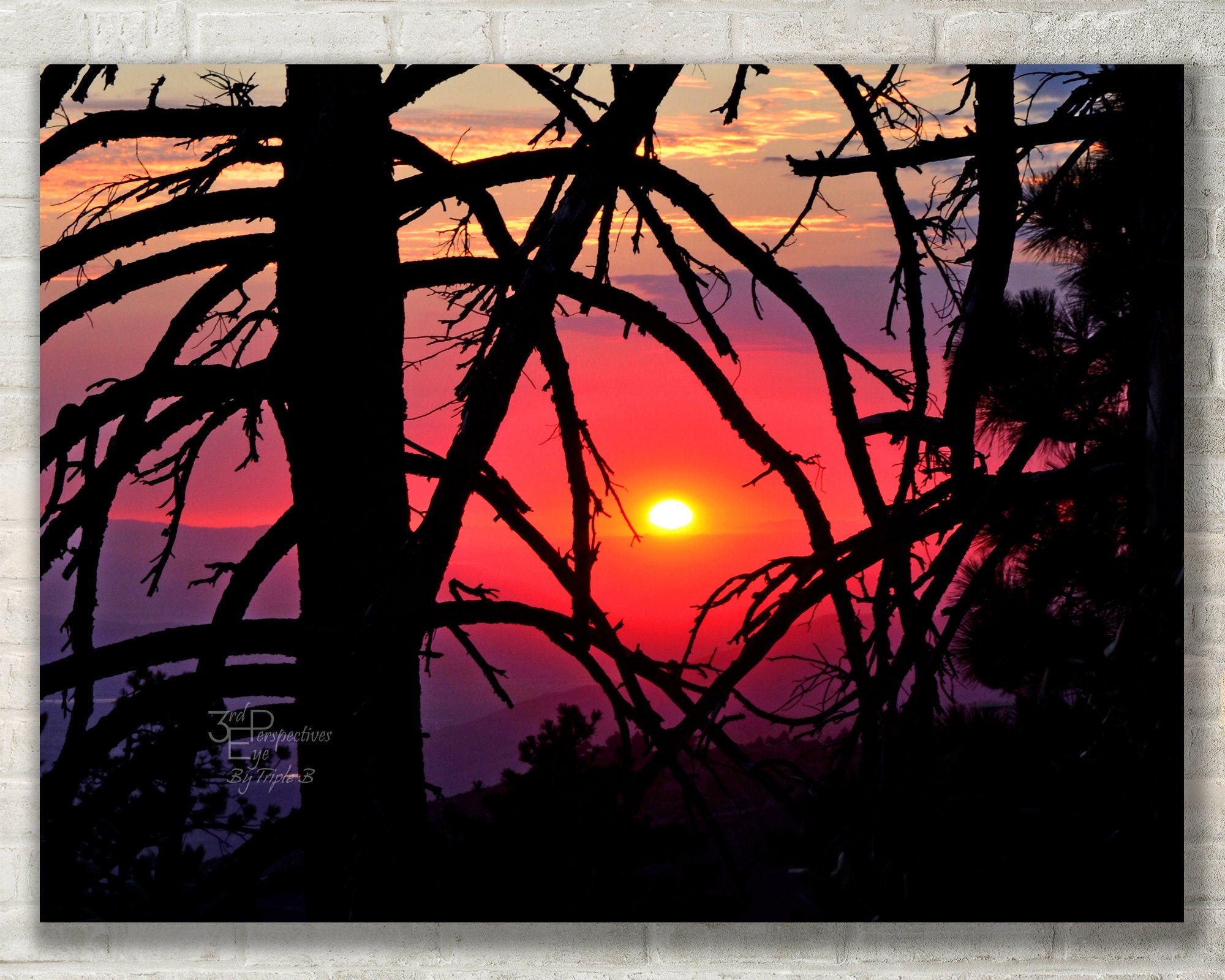 Abstract Sunset With Tree