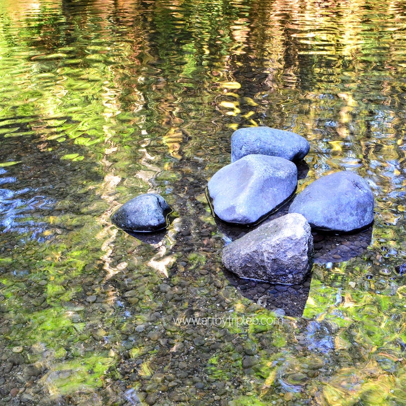 River Rock Art - Etsy