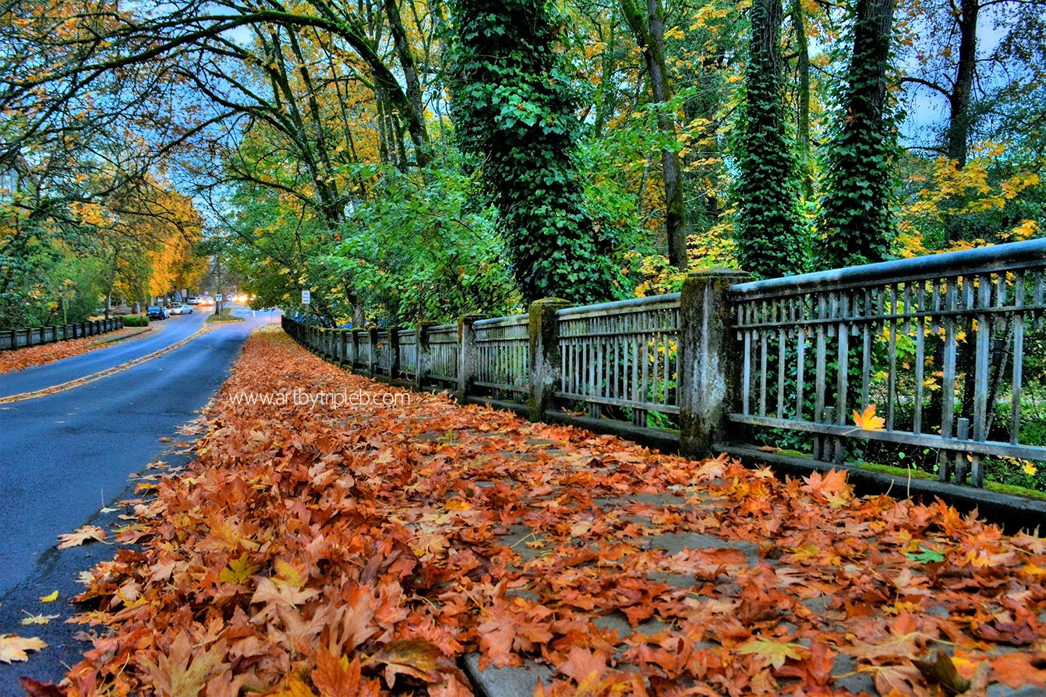 Salem Oregon Autumn Fall Abstract Wall Art Photo Print - Etsy España