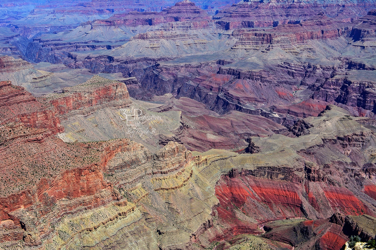 Grand Canyon Photography: Lipon Point Landscape Art Print - Canvas ...