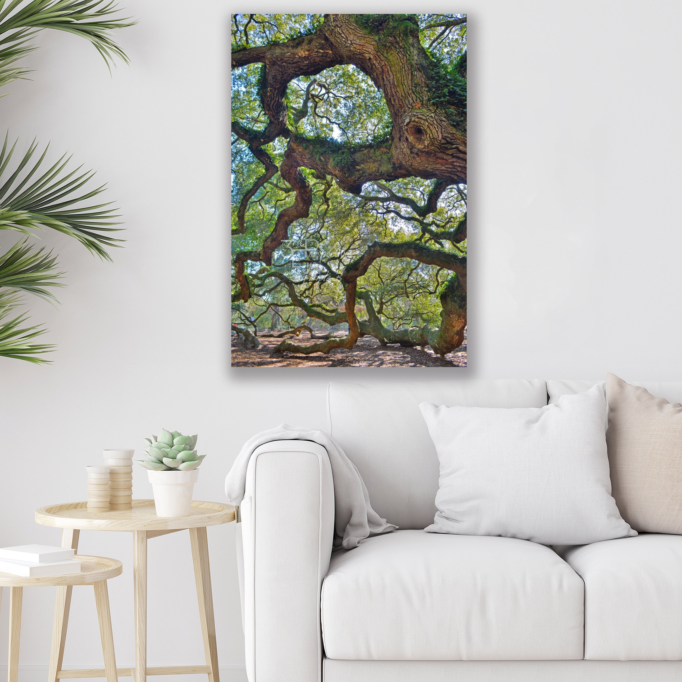 Angel Oak Tree Wall Art Photo Print Canvas Art Metal | Etsy
