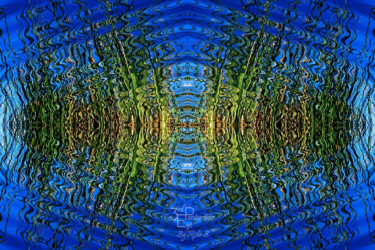 Trippy Nature Photography