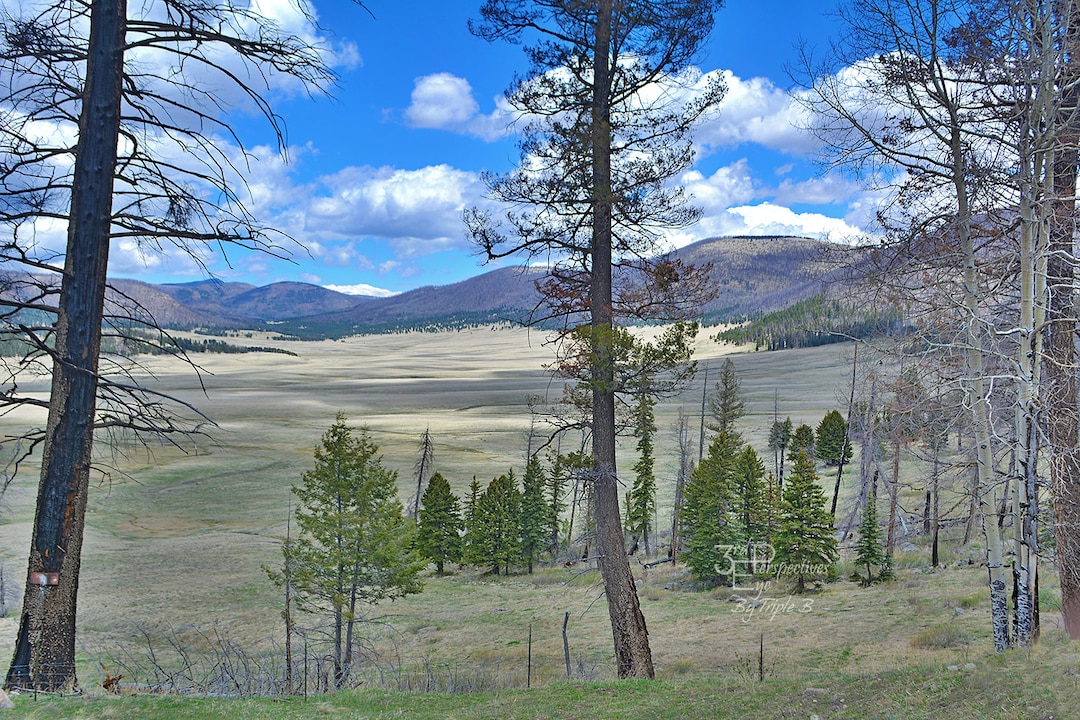 Valles Caldera - Jemez Mountains Photo Print: New Mexico Landscape Wall ...