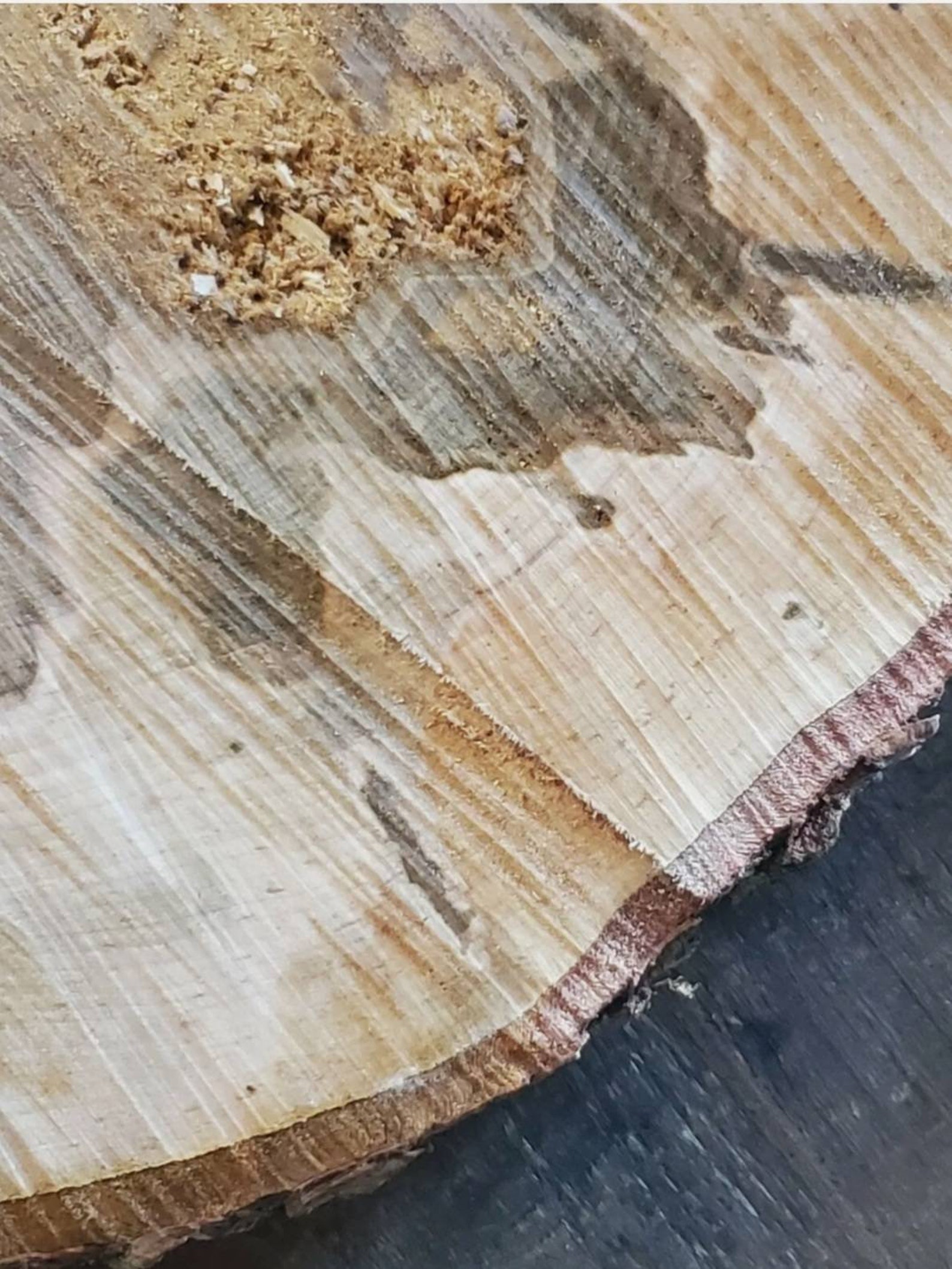 Round Piece of Live Edge Wood. | Etsy