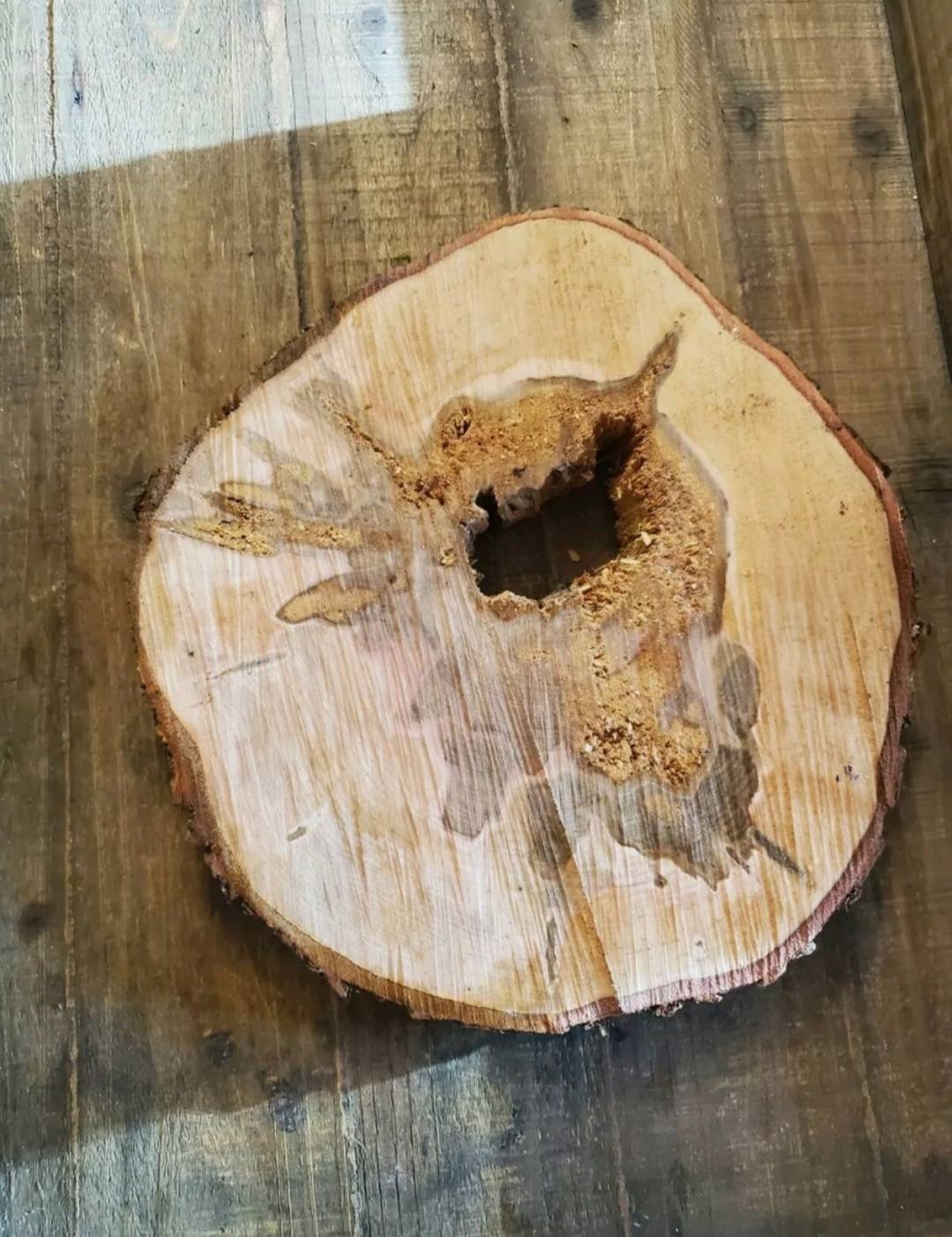 Round Piece of Live Edge Wood. | Etsy