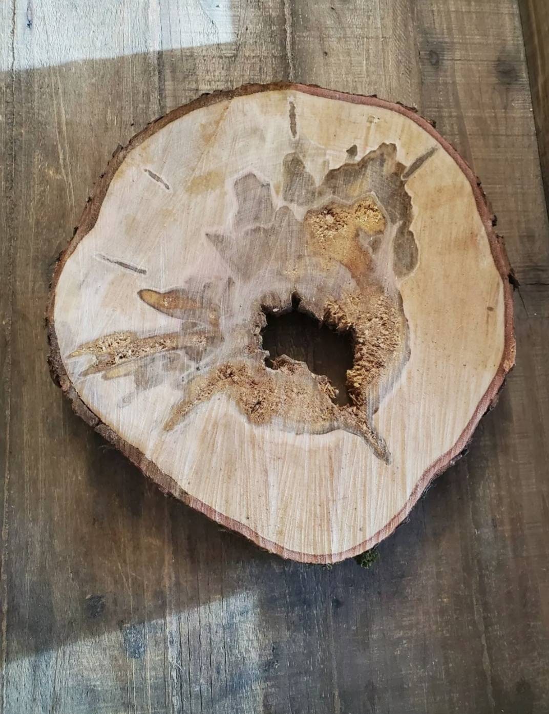 Round Piece of Live Edge Wood. | Etsy