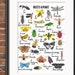 Insects Alphabet Printable ABC Poster With Gouache Bugs - Etsy