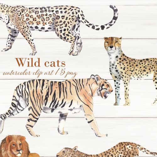 Watercolor Wild Cats Clipart Animals Clipart Nursery Decor - Etsy