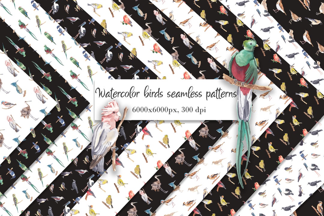 Watercolor Birds Seamless Pattern: Digital Paper Set (instant Download ...