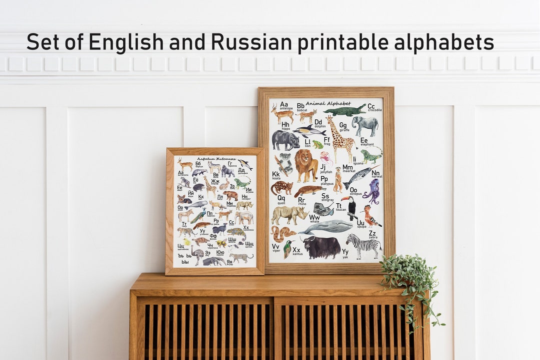 Russian & English Alphabets With Watercolor Animals Educational ...