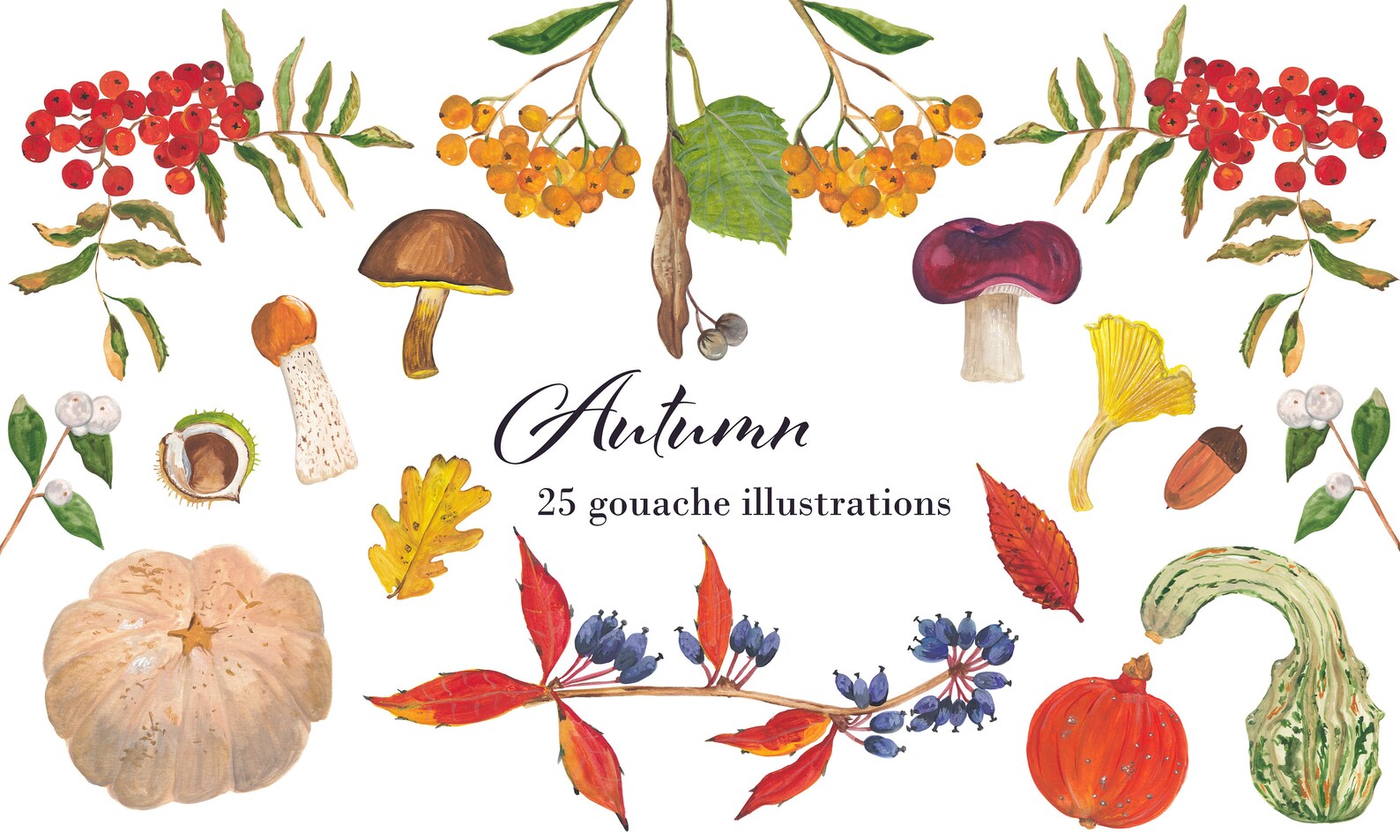 Autumn Clipart Fall Thankgiving Illustrations Gouache Mushrooms ...