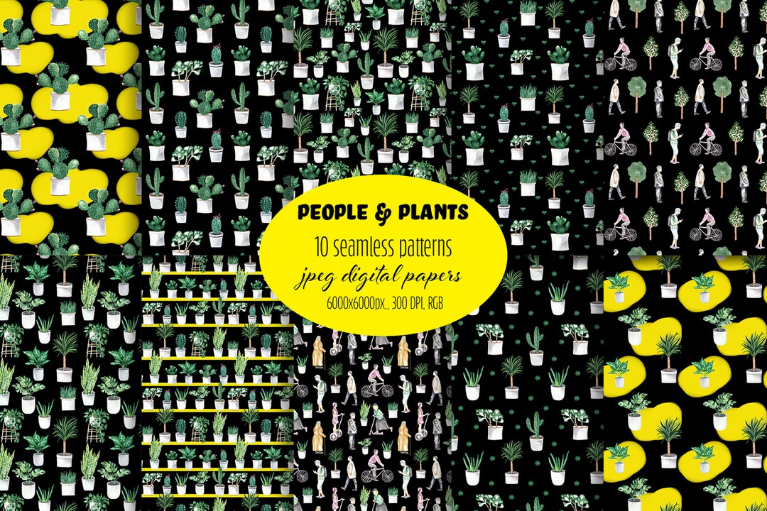 Watercolor Cactus Digital Paper Home Plants Seamless Patterns ...