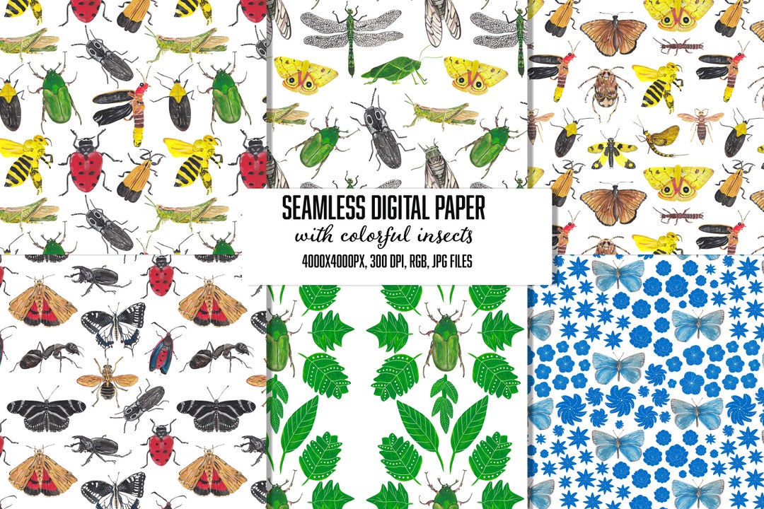Seamless Digital JPG Papers With Colorful Insects Butterfly Bug Beetle ...