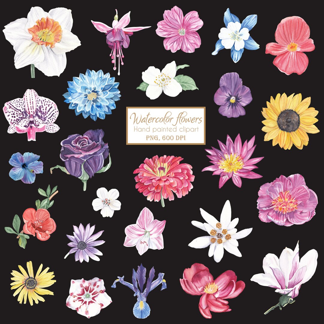 Watercolor Flowers Clipart Handpainted Botanical Illustrations Wedding ...