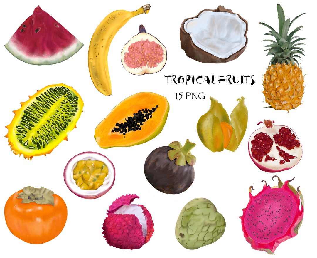 Tropical Exotic Fruits Clipart Food Illustrations Png Digital Download ...