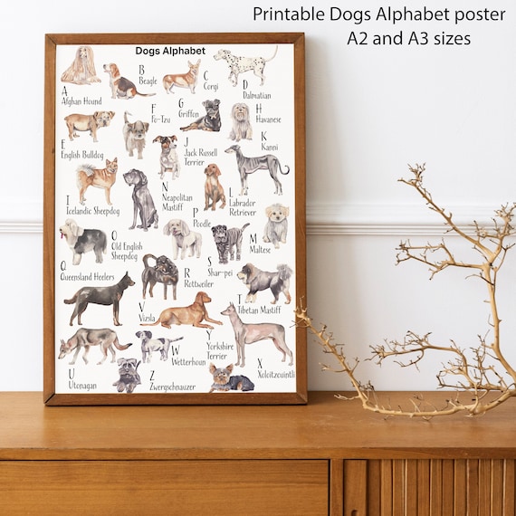 Printable Dogs Alphabet Poster ABC Dogs Breed Watercolor Wall - Etsy ...