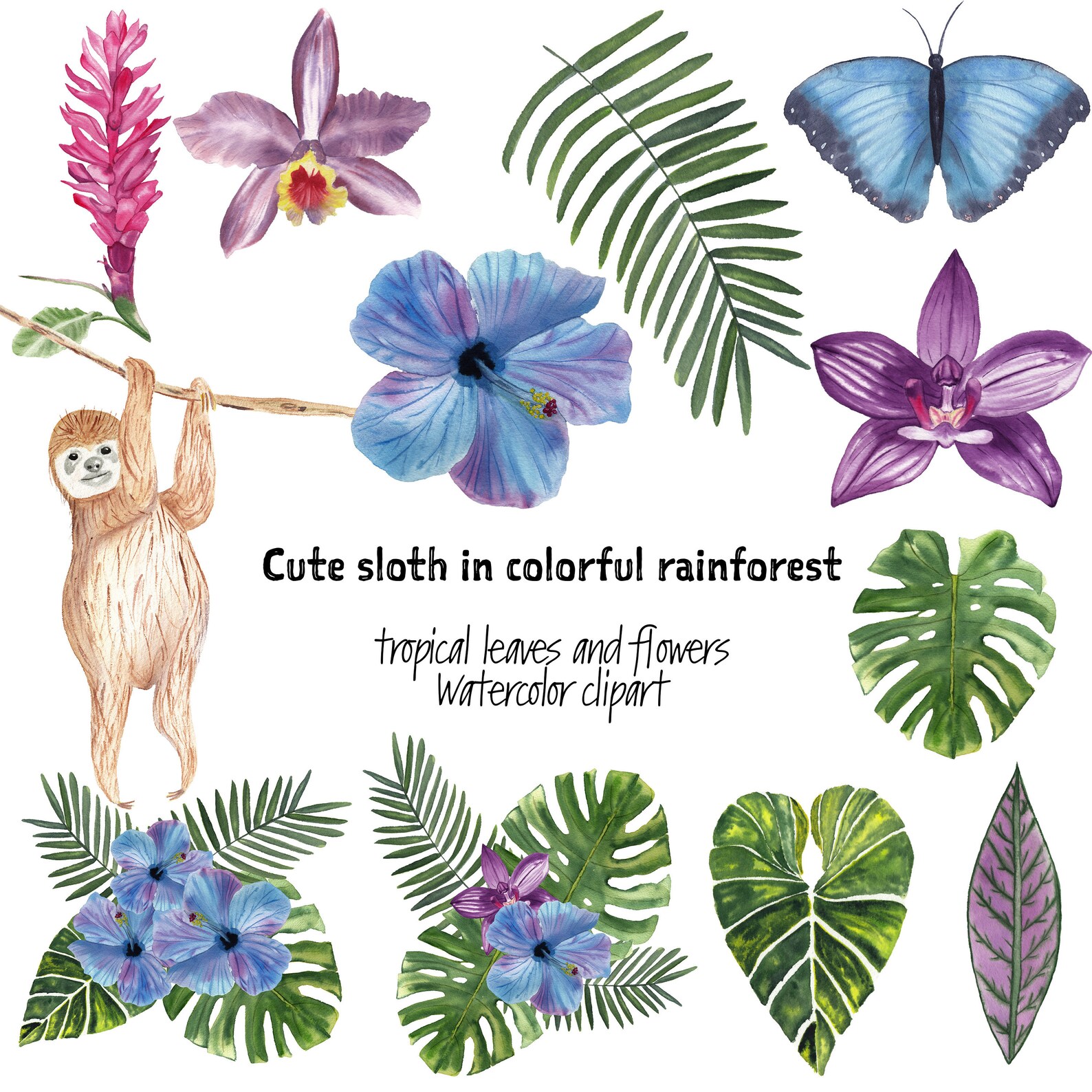 Watercolor Rainforest Clipart, Tropical Prints and Watercolor Png ...