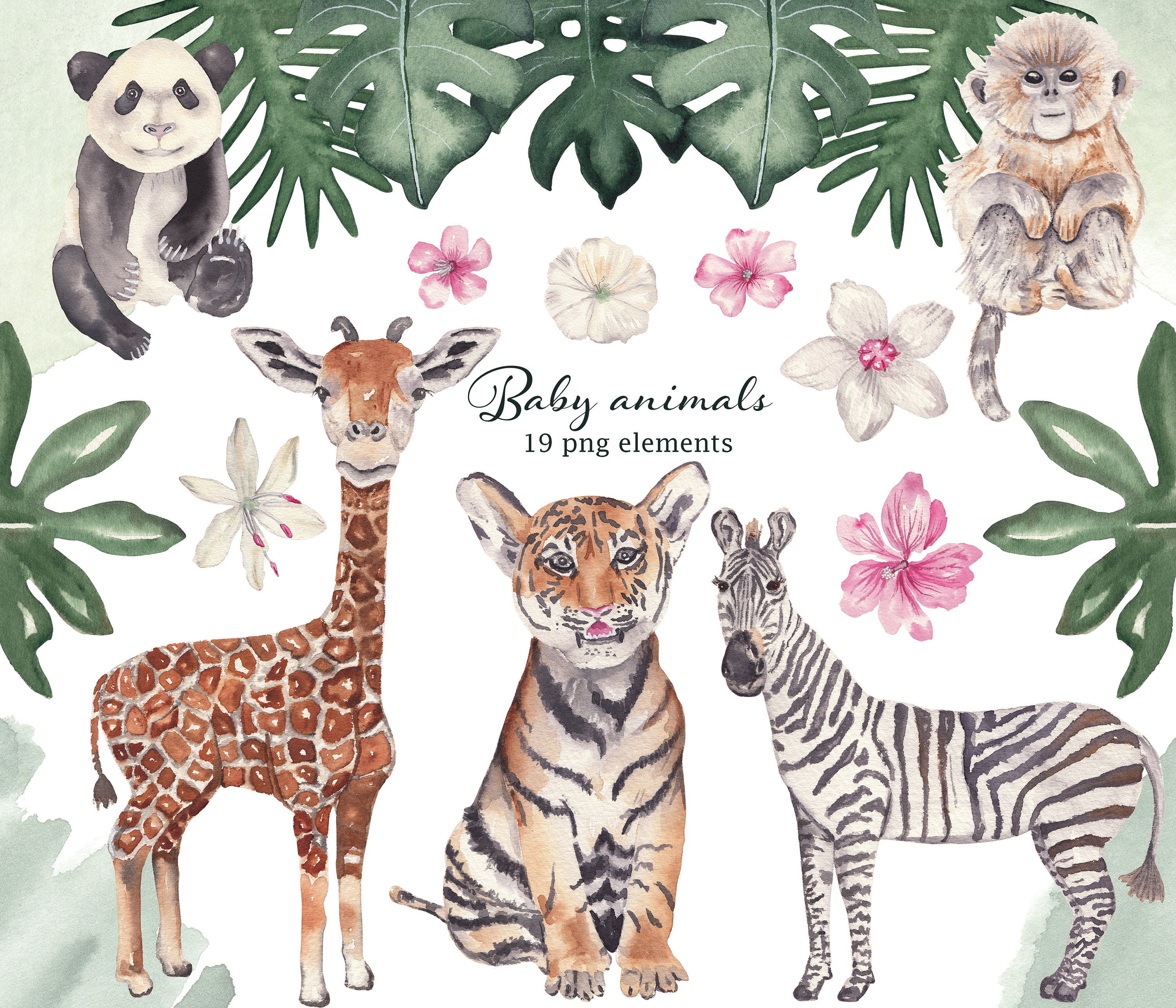 Watercolor Baby Animals Clipart: Jungle Safari (digital Download) - Etsy