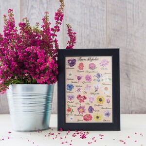 Watercolor Flower Alphabet - Printable ABC Poster - Home Spring Decor ...