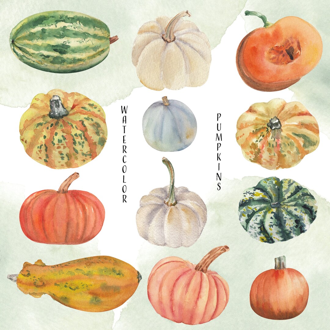 Watercolor Pumpkins Clipart Colorful Halloween Thanksgiving Graphics ...