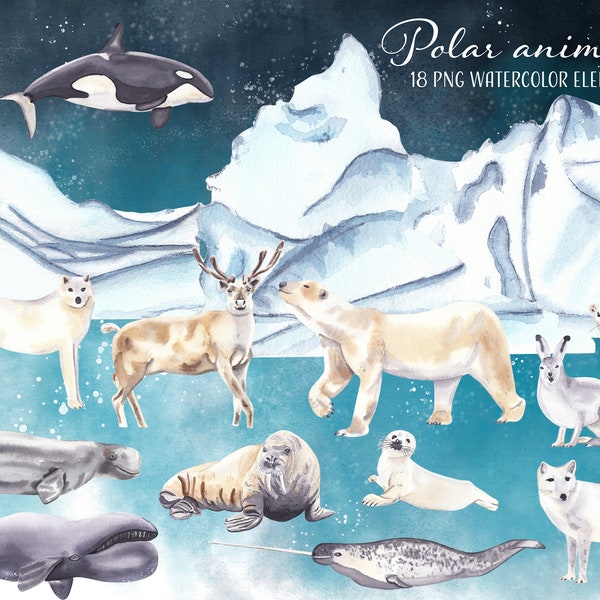 Polar Animals - Etsy