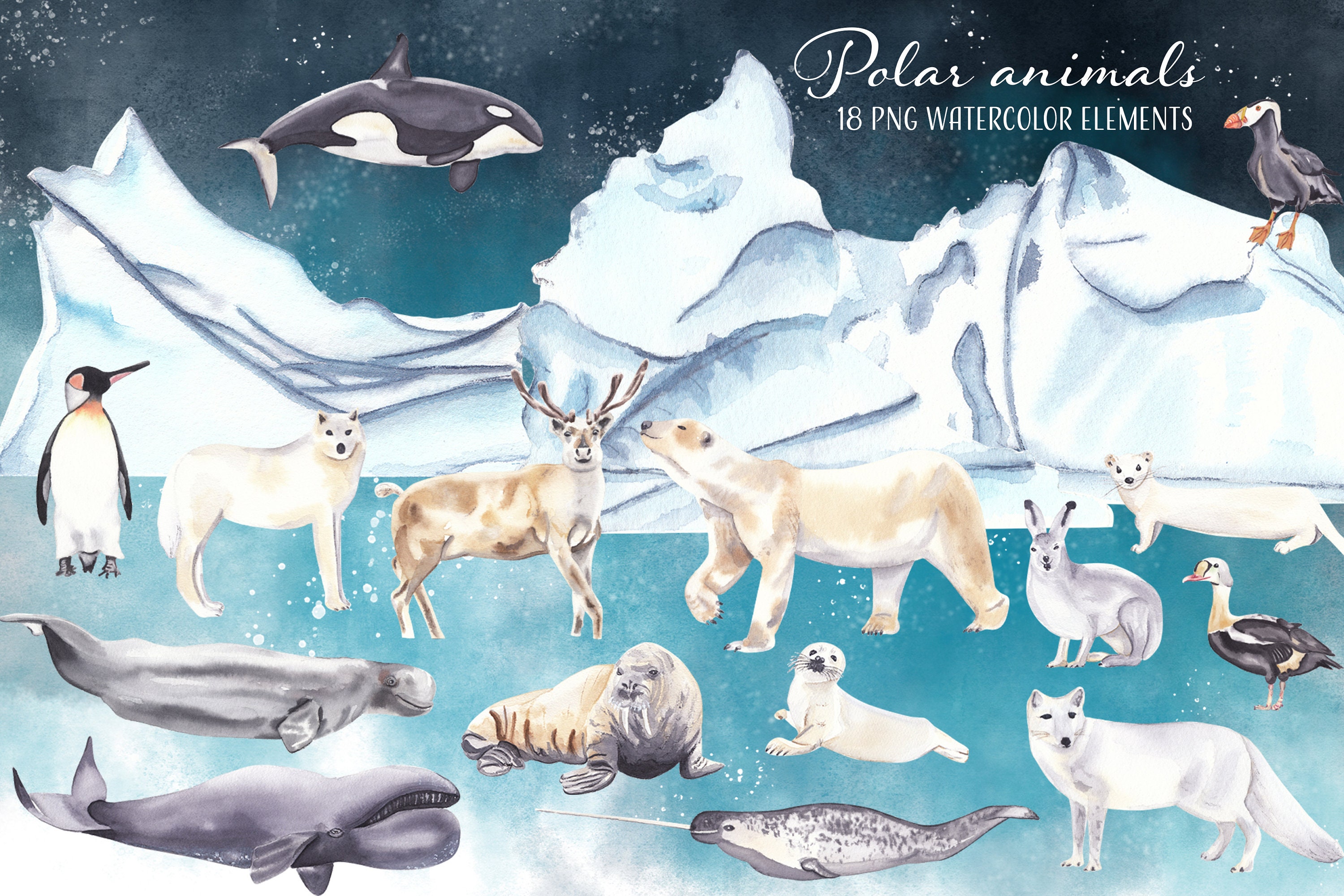 Watercolor Polar Animals Clipart Polar Bear North Reindeer Seal Killer ...