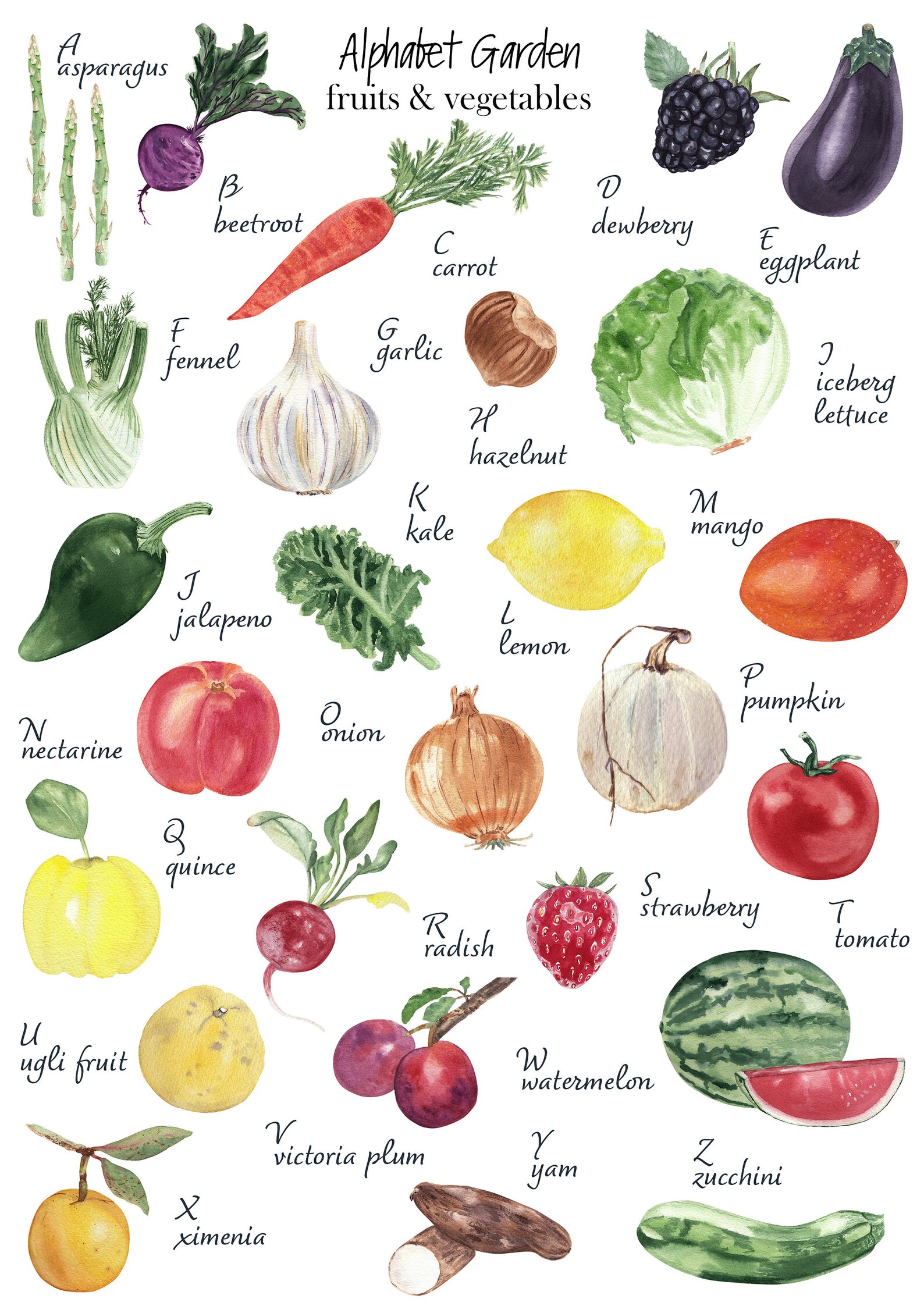 Watercolor Food Printable Alphabet With Fruits & Vegetables ABC Digital ...